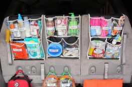 10 Easy Car Organization Ideas You’ll Want to Try Today – Channygans